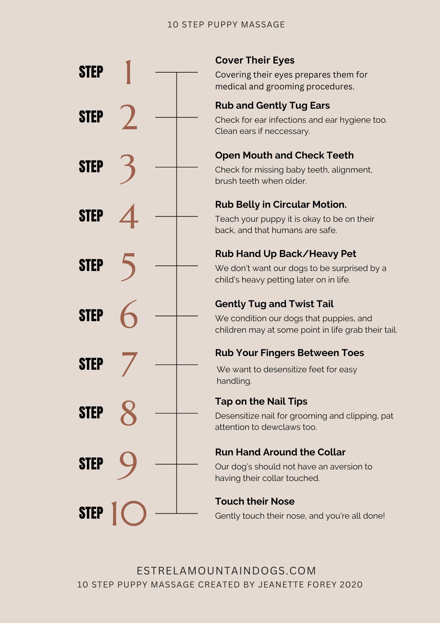 Estrela Mountain Dog Puppy Curriculum